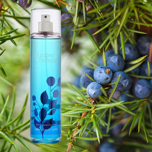 Juniper Breeze Perfumes, Sprays, Body Care + More - Bath & Body Works ...